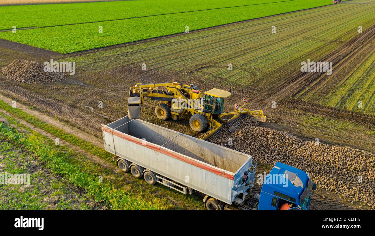 Beet loader hi-res stock photography and images - Alamy