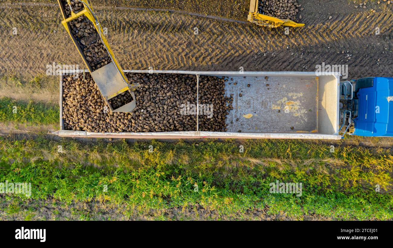 Above top detail view, on agricultural machine, beet loader as ...