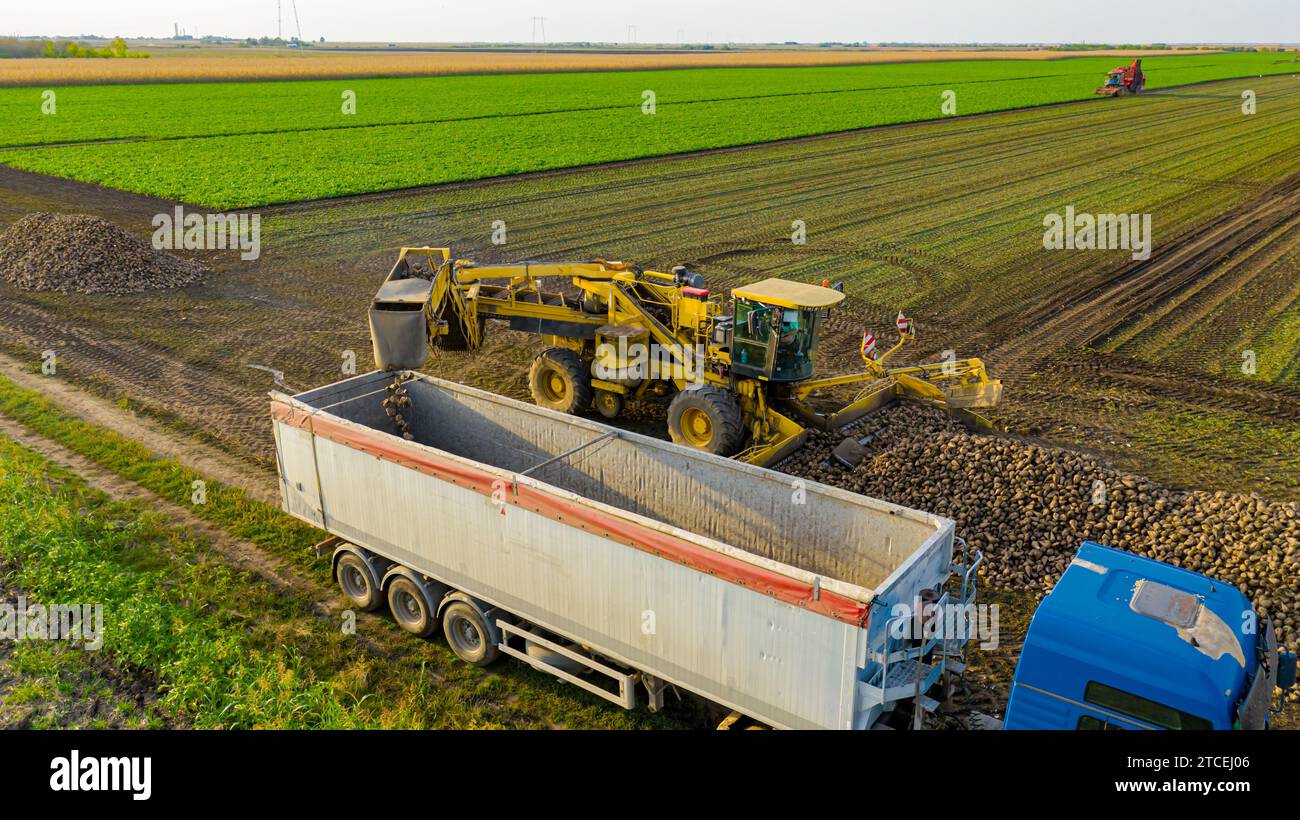 Beet loader hi-res stock photography and images - Alamy
