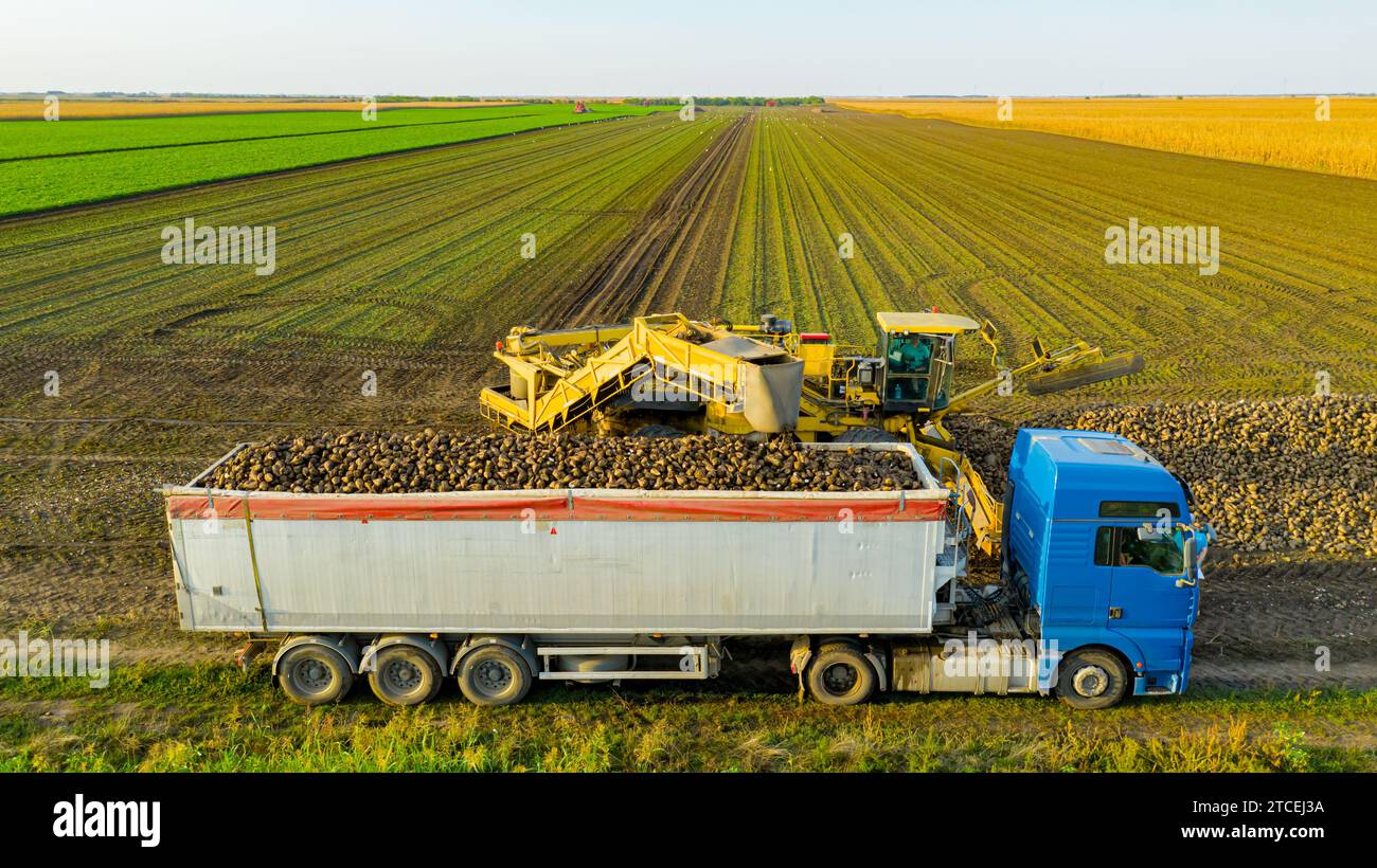 Beet loader hi-res stock photography and images - Alamy
