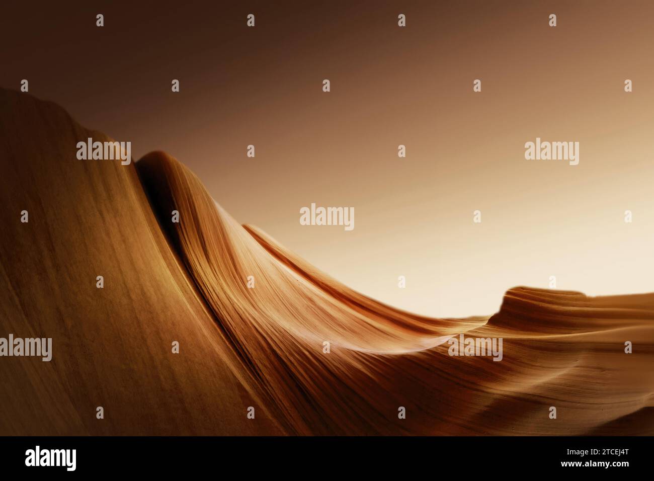 Product branding backdrops, Commercial product photography backdrop ...