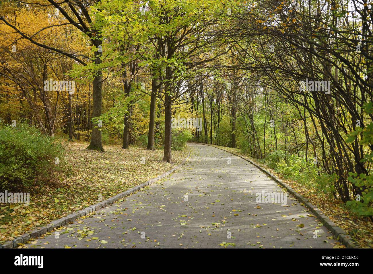 Beautiful Nature Autumn landscape. Scenery view on autumn city park ...