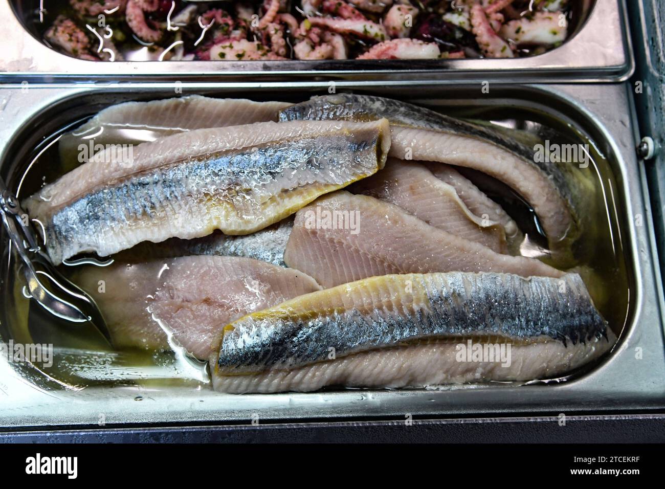 Matjesfilets hausgemacht- Heringsfilets nach Matjesart, im ...