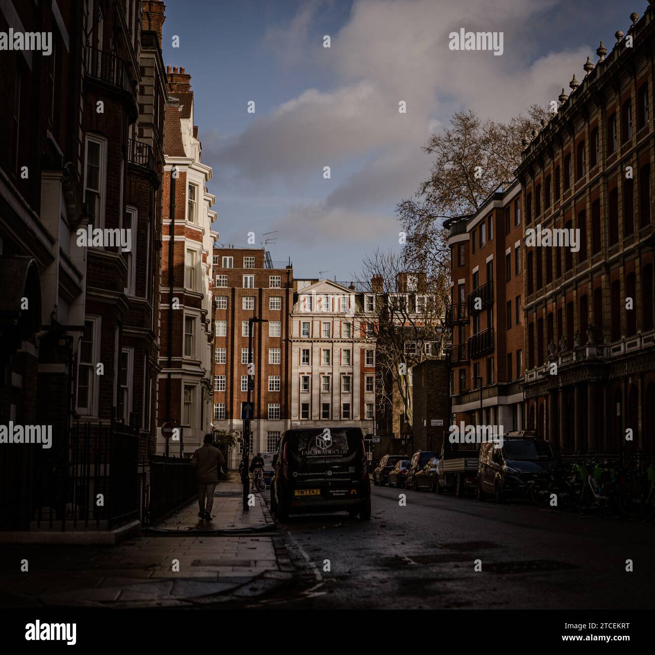 Bask in the winter sunlight as it gracefully touches the rows of ...