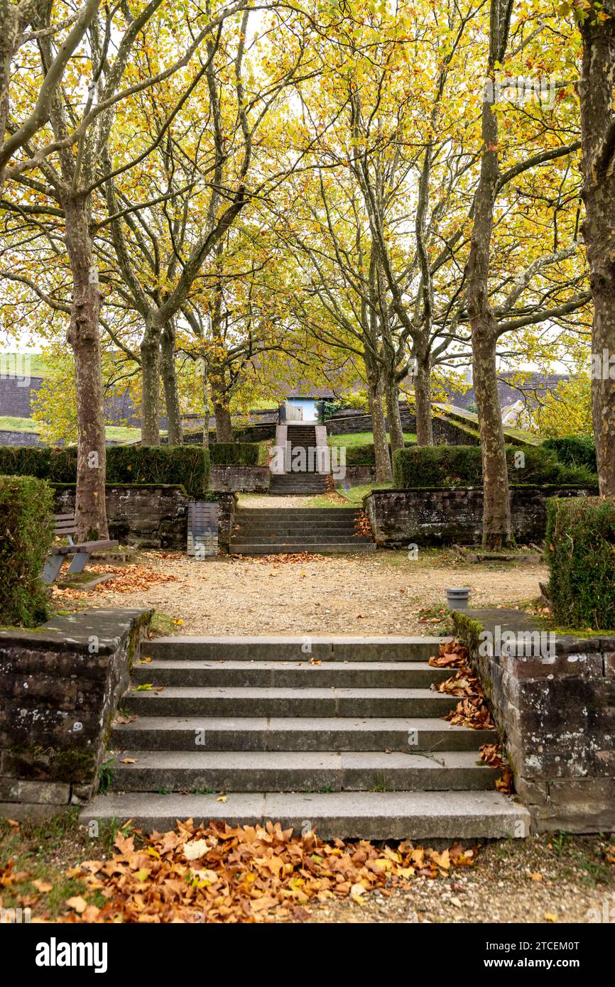 Hedges steps hi-res stock photography and images - Alamy