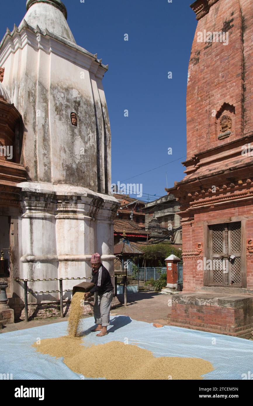 Nepal, Bhaktapur, drying rice in the sun, street scene Stock Photo - Alamy