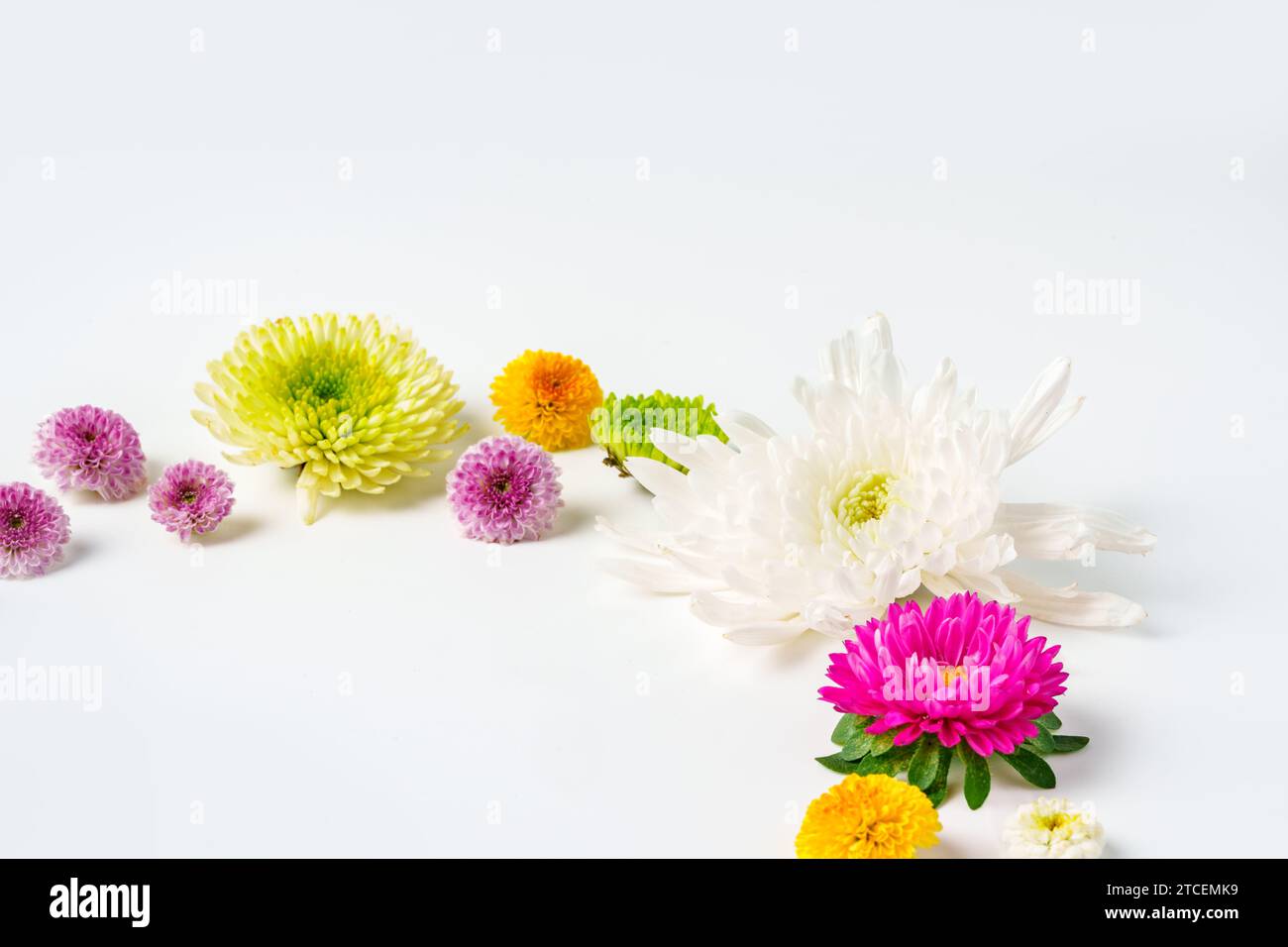 Small spring flowers arranged on white background Stock Photo - Alamy