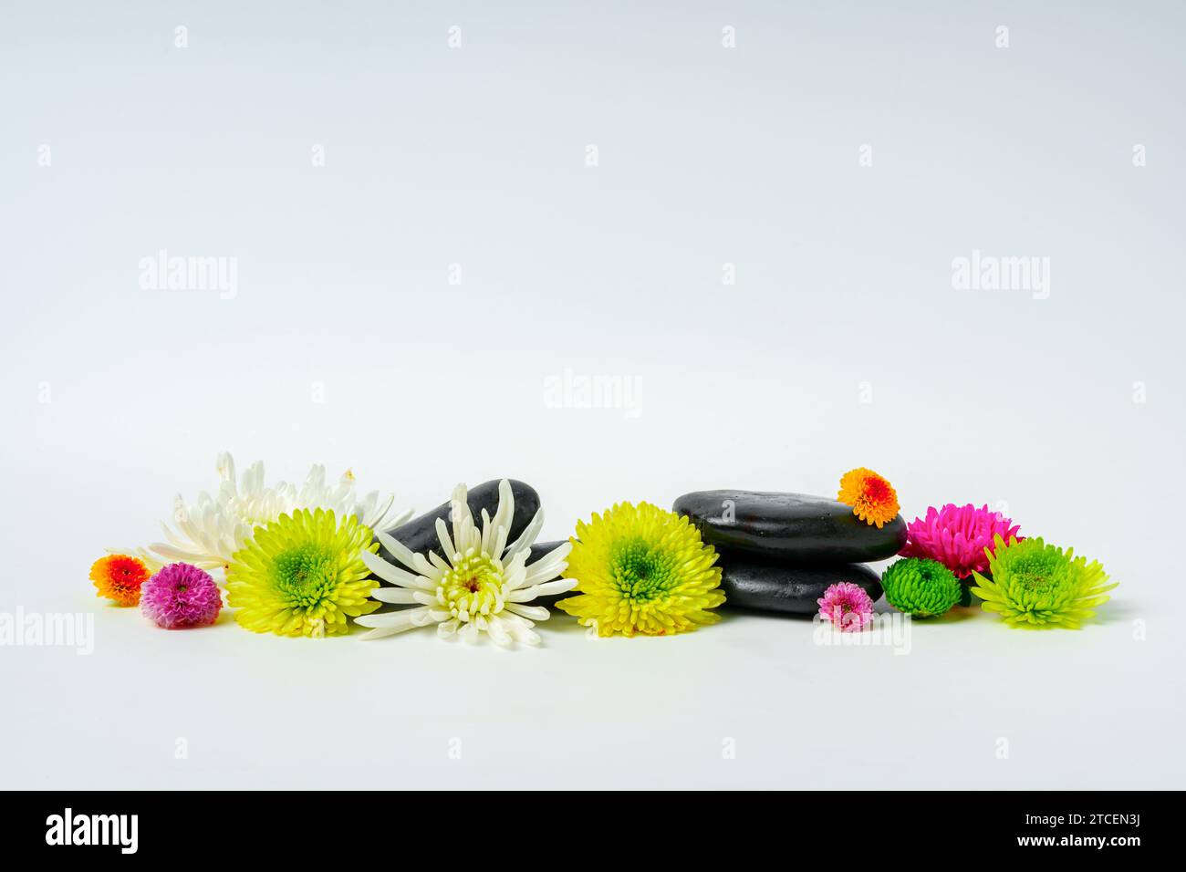 Spa stones and flowers on the white background Stock Photo - Alamy
