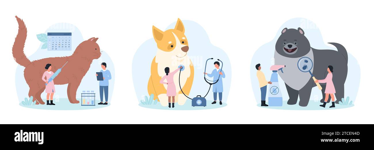 Veterinarian appointment at vet clinic set vector illustration. Cartoon ...