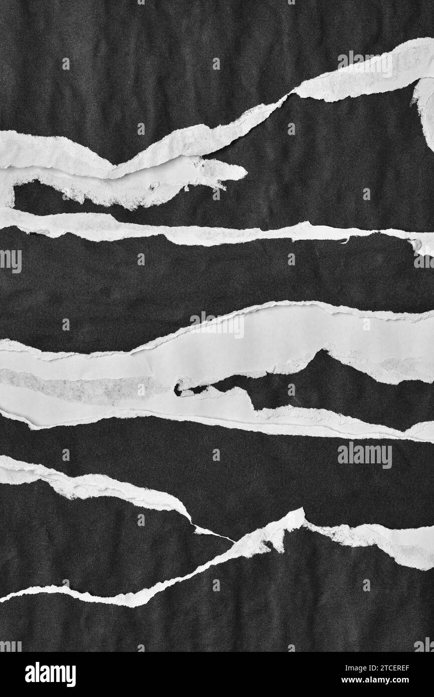 Black and White Torn Paper Collage Style, Ripped Paper Effect, Texture ...
