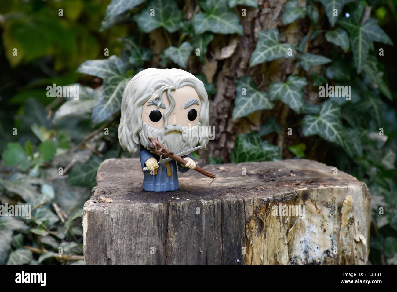 Wizard Staff Gandalf