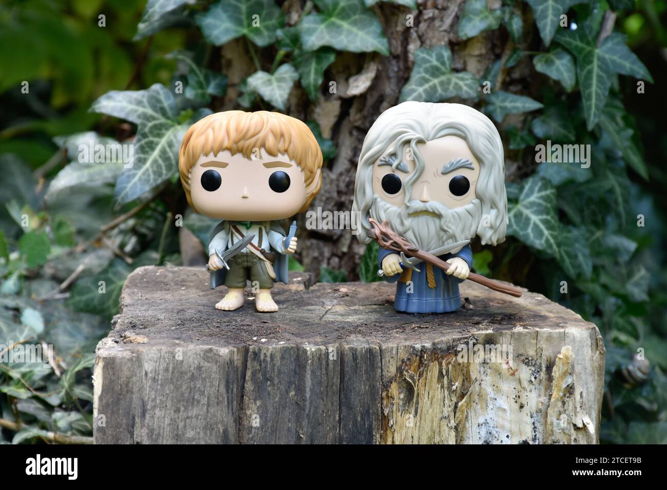 Funko Pop action figures of hobbit Sam and wizard Gandalf the Grey from ...