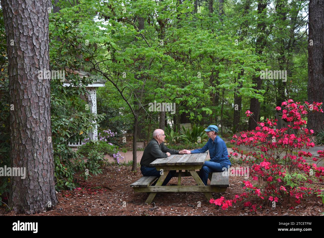 Couple are talking and holding hands as they sit at a picnic table in ...