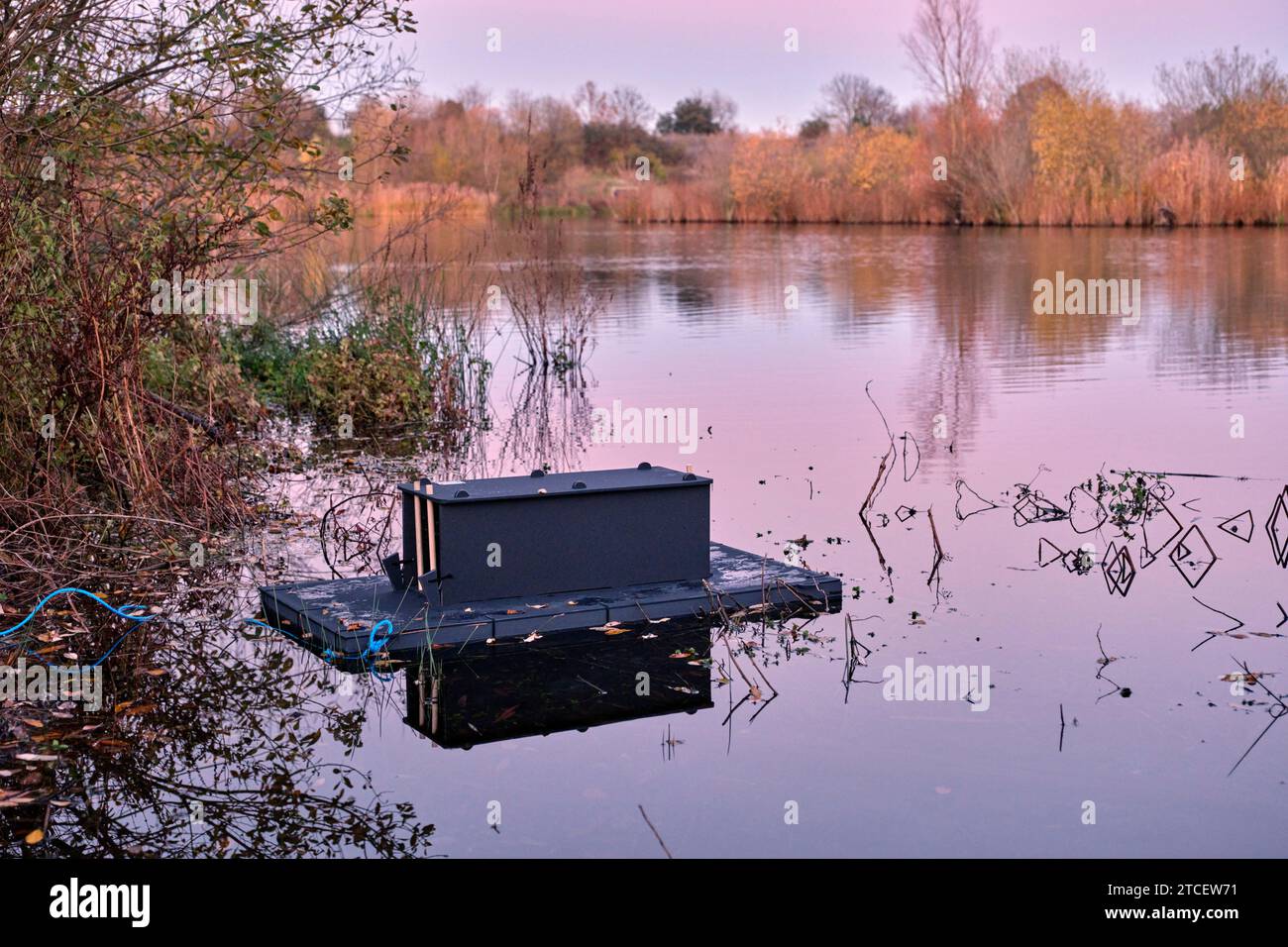 Mink trap on nature reserve lake. Part of a Waterlife Recovery Trust ...