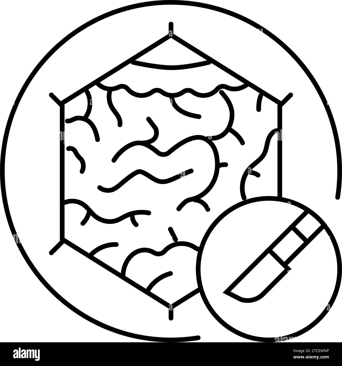 abdominal surgery line icon vector illustration Stock Vector Image ...