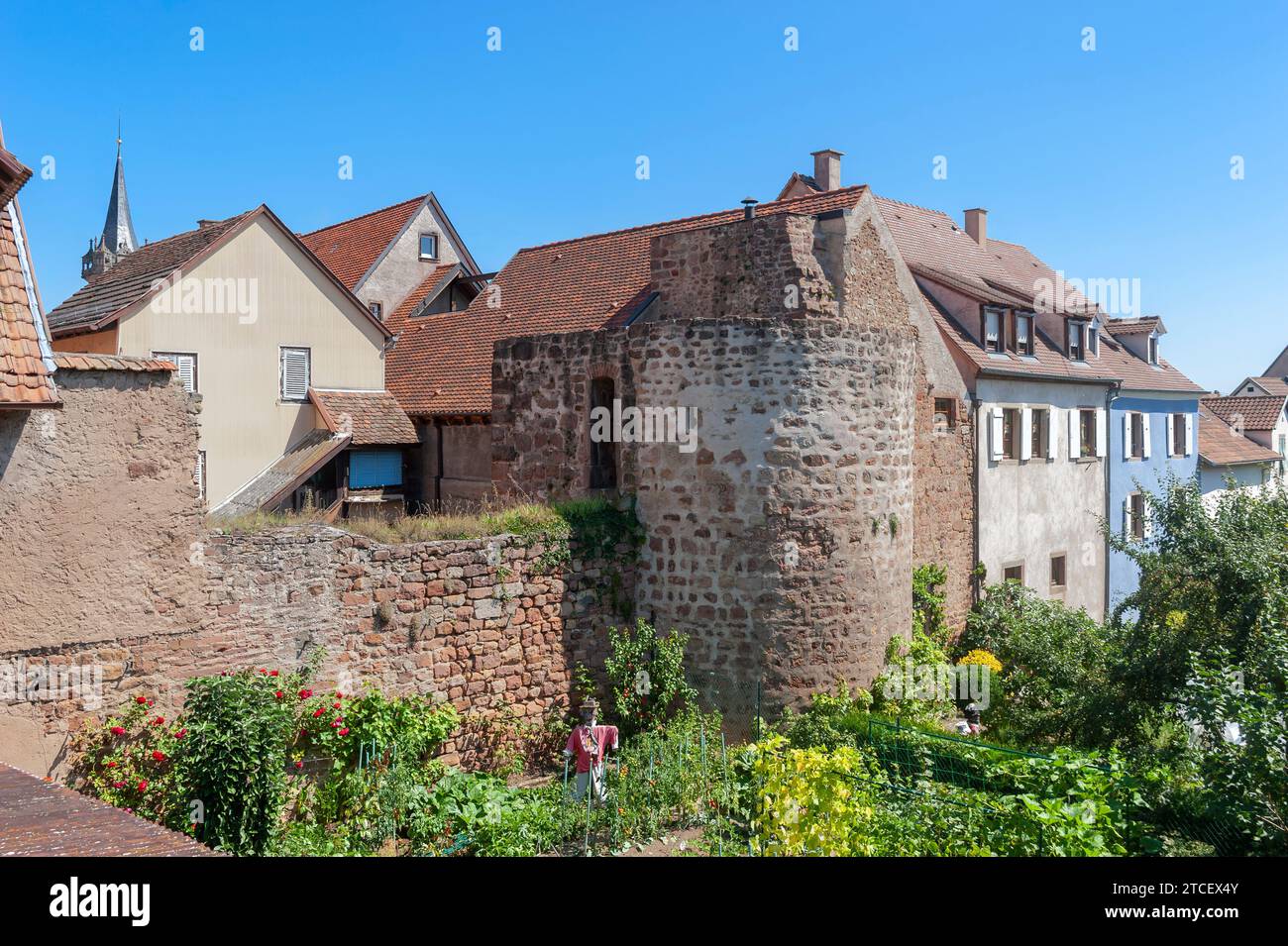 Part of historic city wall along Rem Marechal Joffre street, Obernai ...