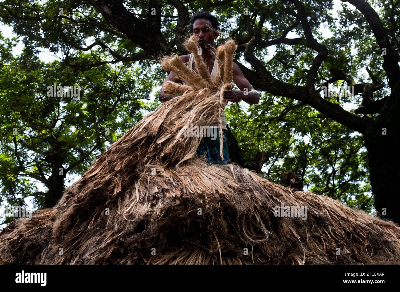 Jute bangladesh hi-res stock photography and images - Alamy