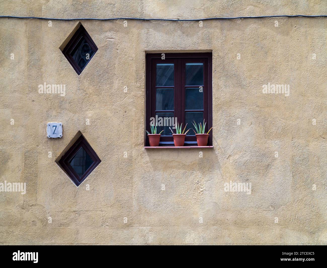 Rectangular window decorated with plants alongside two diamond-shaped ...