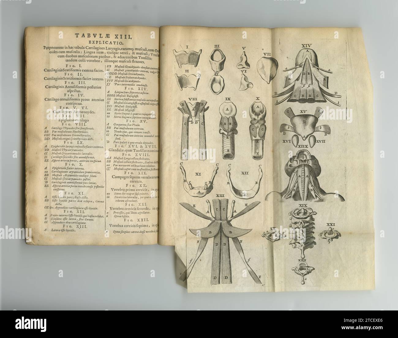 Vintage sketch book hi-res stock photography and images - Alamy