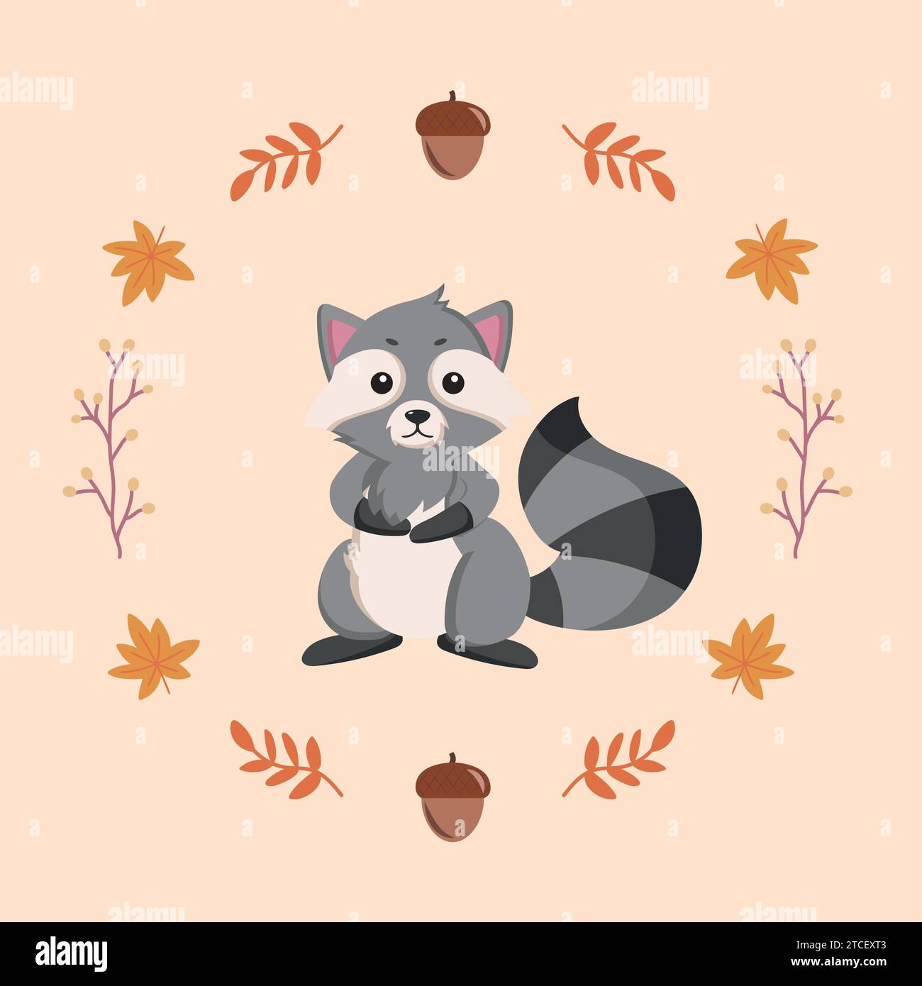Isolated colored cute raccoon autumn animal Vector Stock Vector Image ...