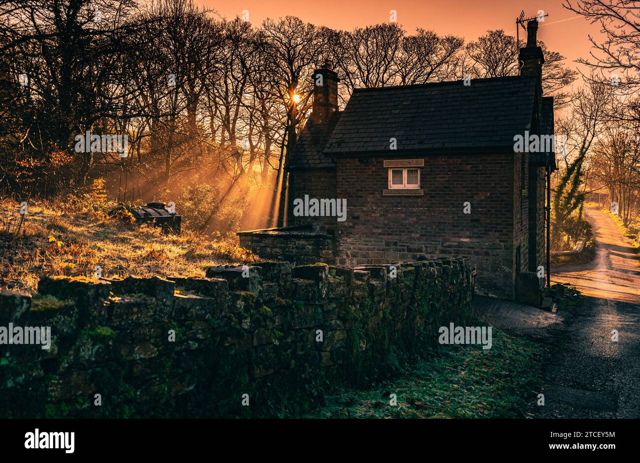 Trees around a stone house hi-res stock photography and images - Alamy