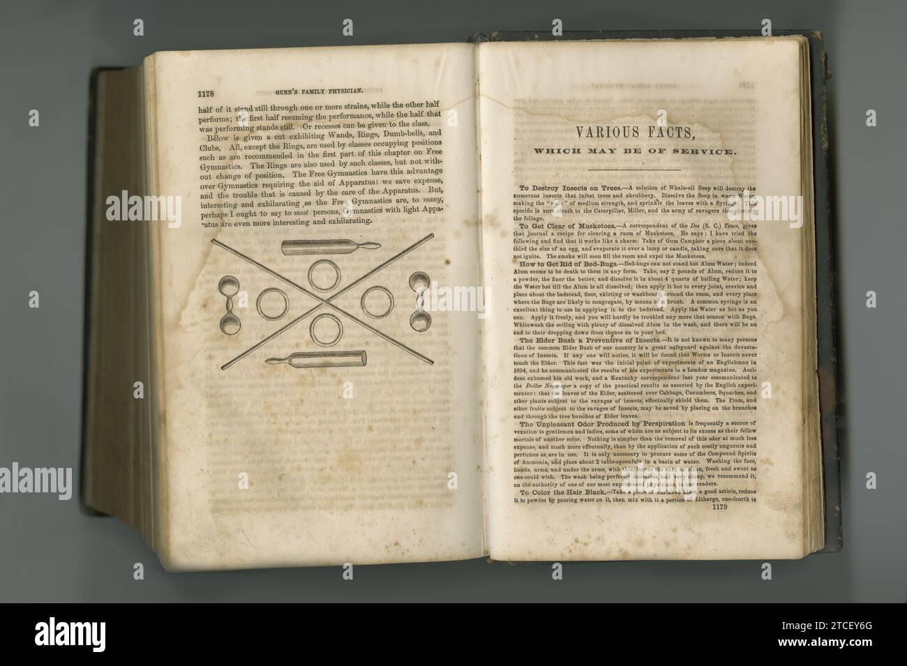 Antique book, information page and ancient encyclopedia, textbook or journal of knowledge, facts ...