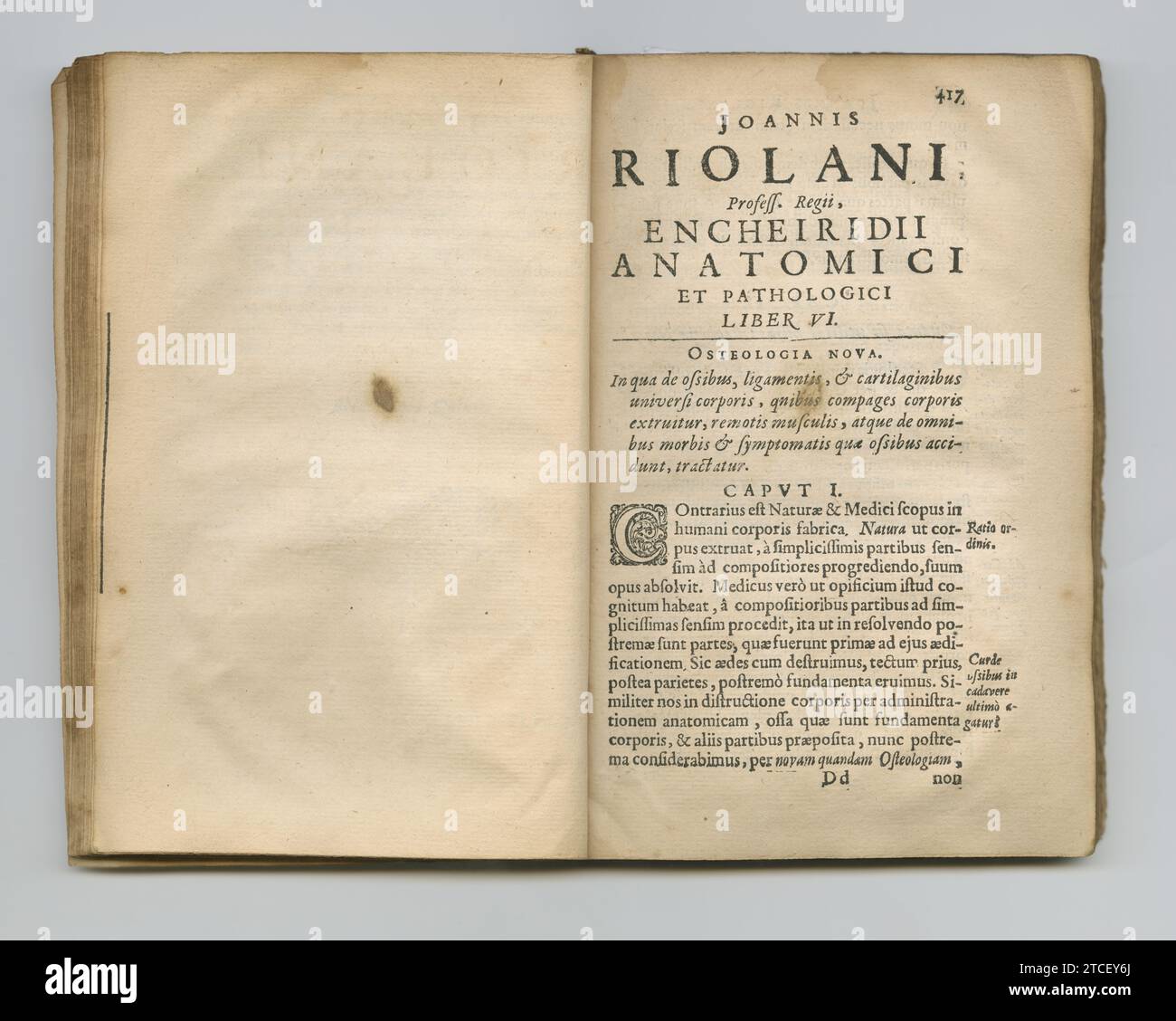 Antique medical page, paper and research on medicine study on grey ...