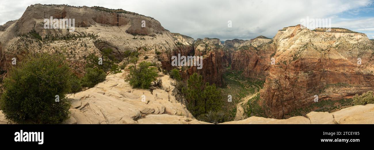 Panorama Of Angels Landing Ridge From Cathedral Ridge to Observation ...