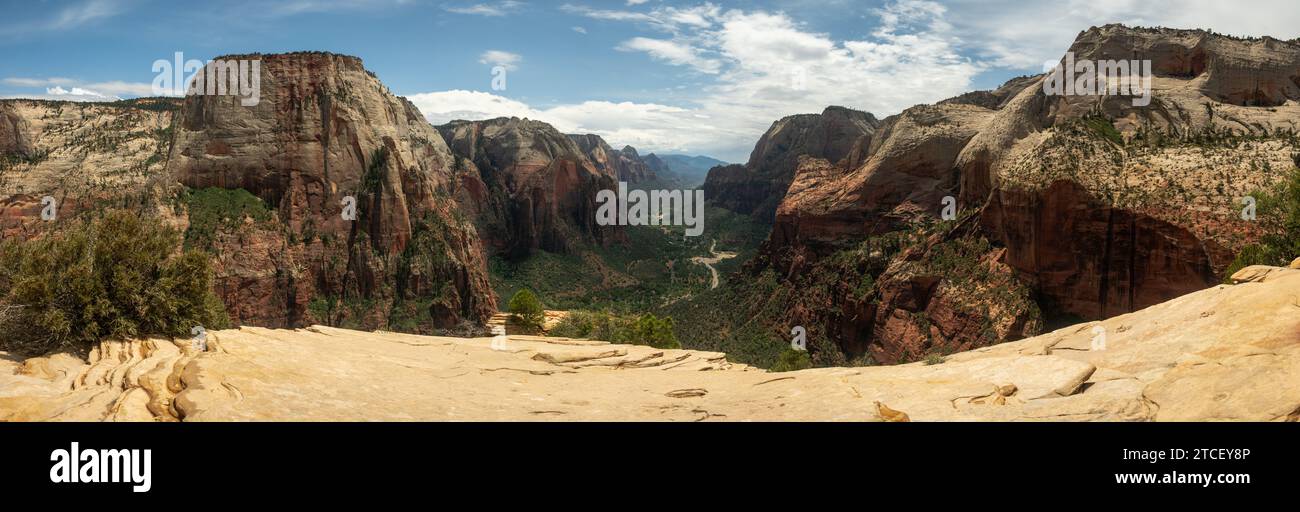 Top view orange canyon trees hi-res stock photography and images - Alamy