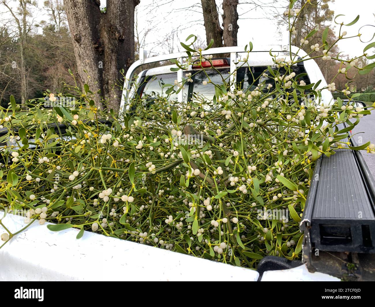 Nutriention hi-res stock photography and images - Alamy