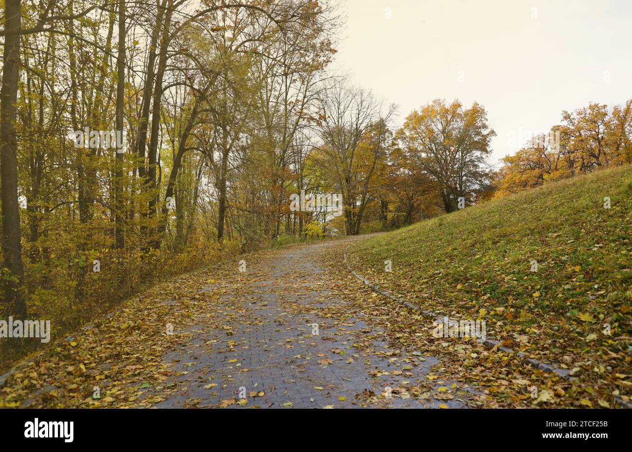 Beautiful Nature Autumn landscape. Scenery view on autumn city park ...