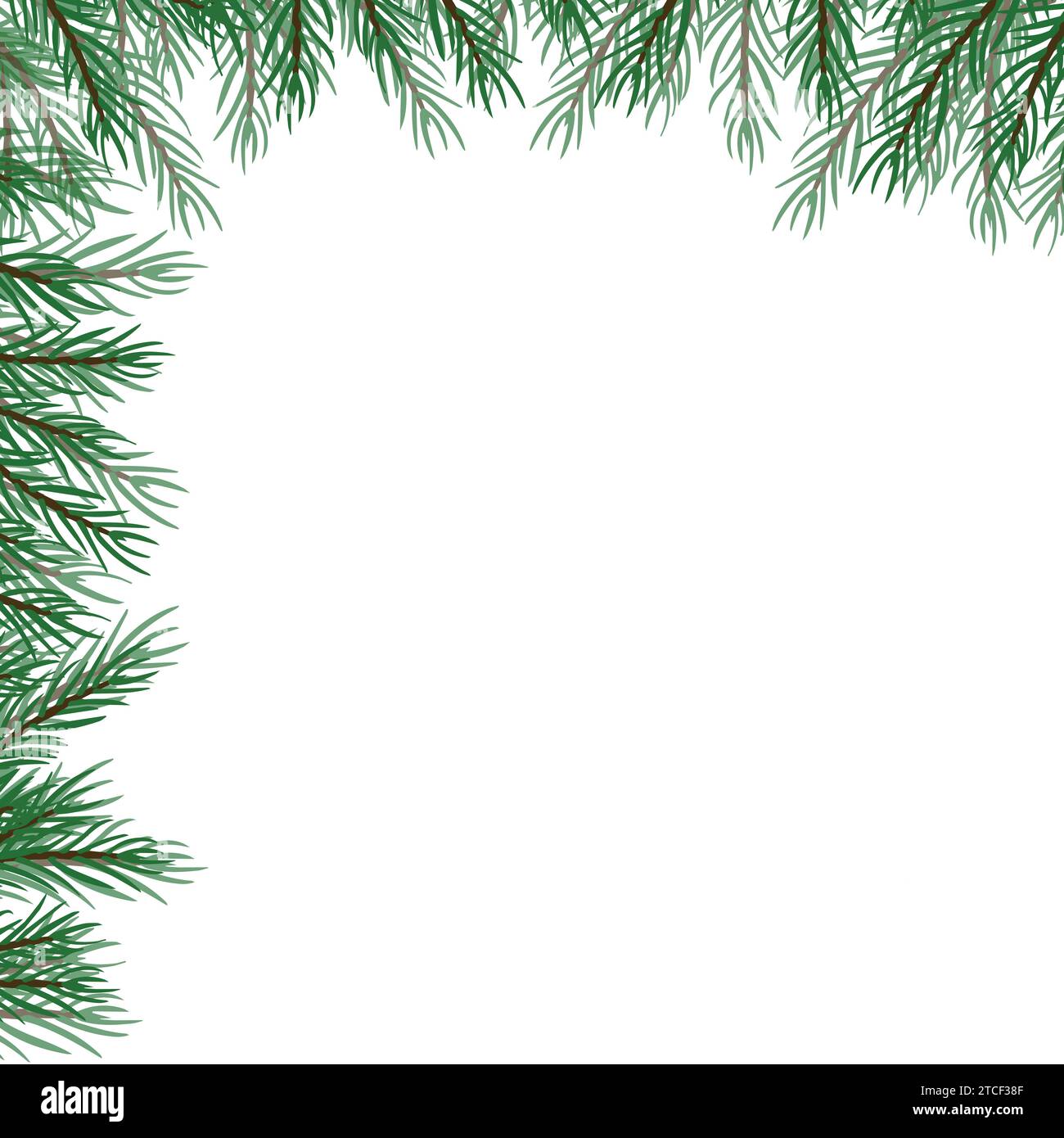 Corner border of pine and fir branches for design of postcard or banner ...
