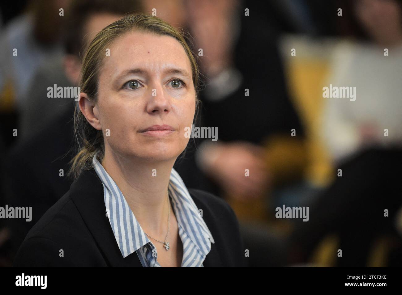 Paris, France. 12th Dec, 2023. Interministerial Digital Director (DINUM ...