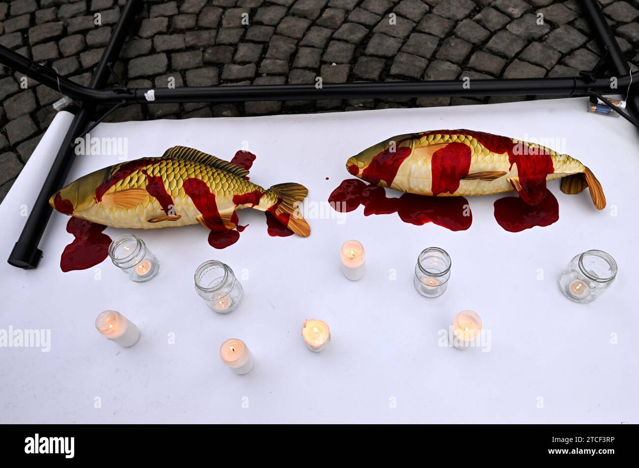 Prague, Czech Republic. 12th Dec, 2023. Protest against Christmas sale ...
