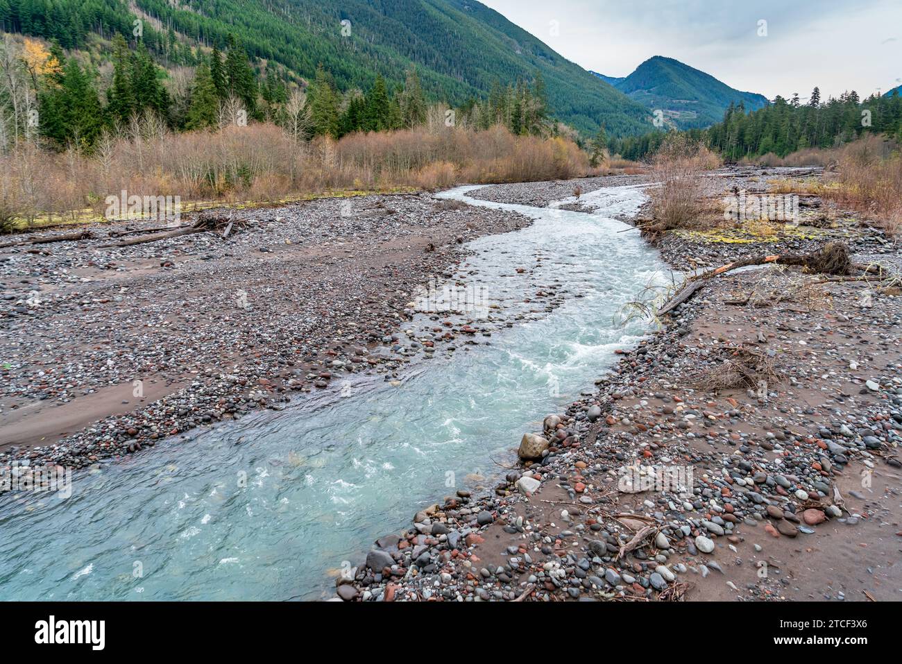 A view of the Carbon River and trees in Washington State Stock Photo ...