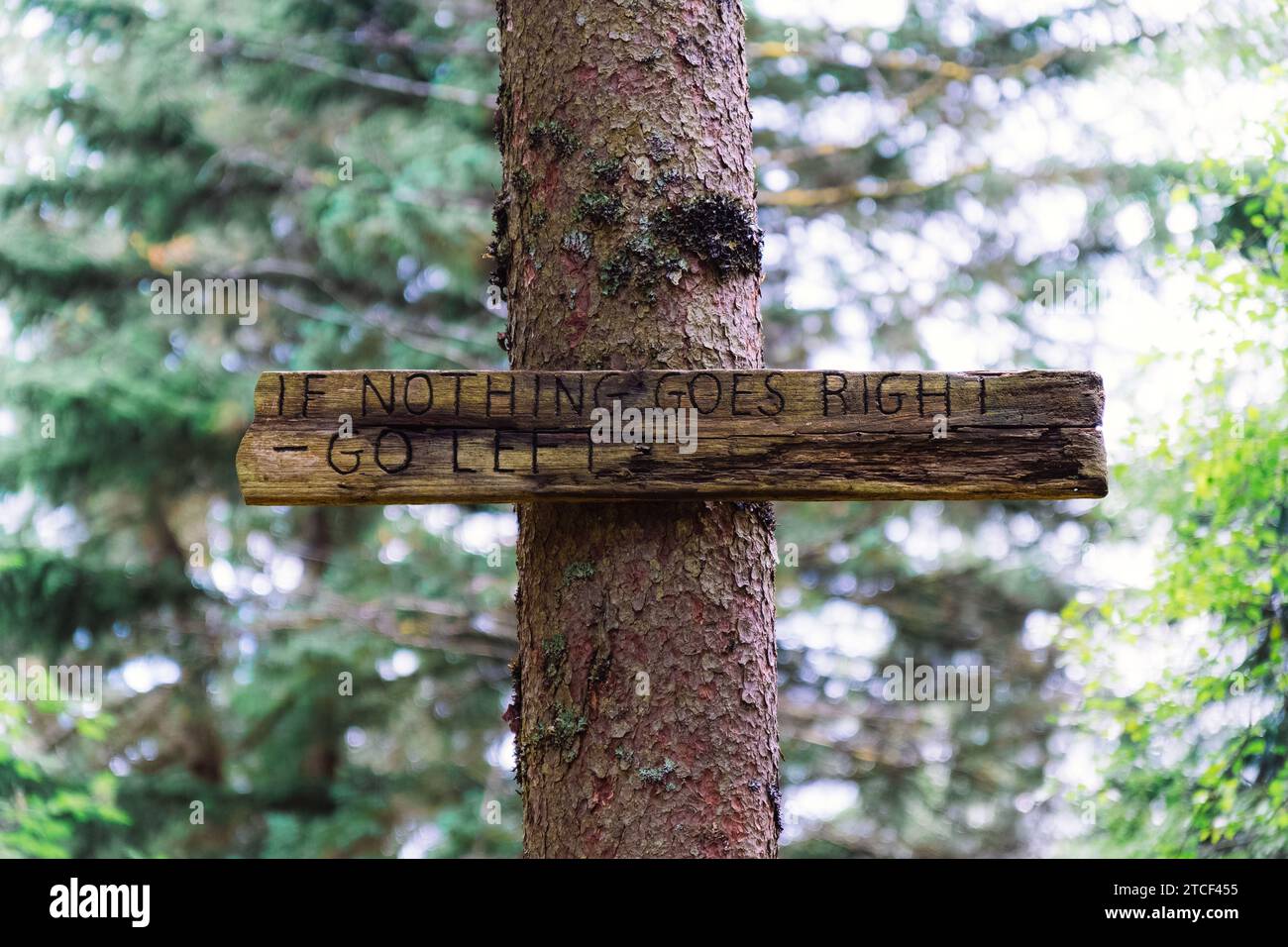 Sign attached tree hi-res stock photography and images - Alamy