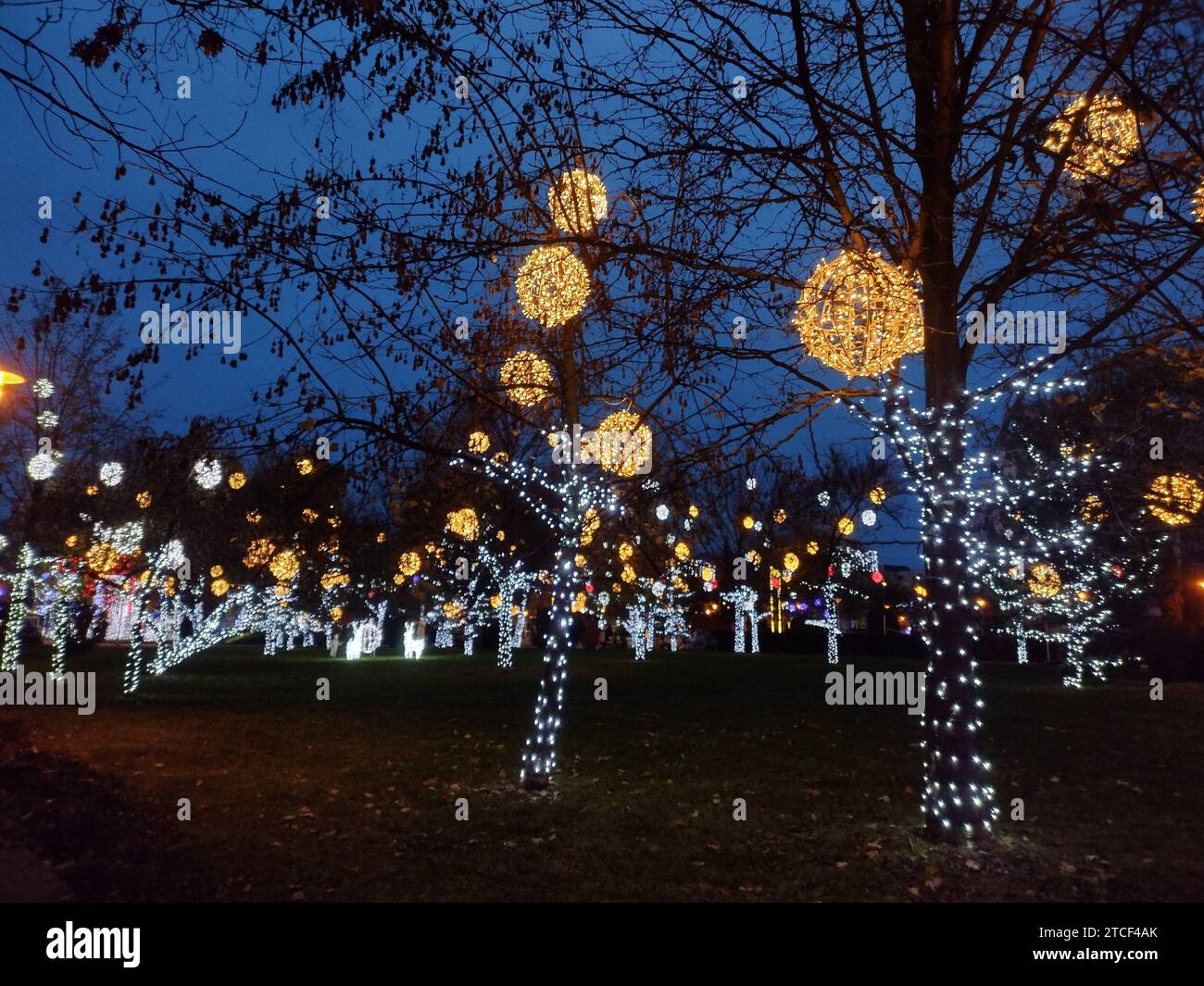 Christmas lights in Baia Mare city, Romania Stock Photo - Alamy
