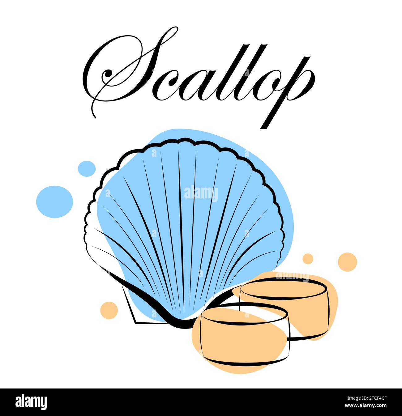 Scallop on white background. Doodle Stock Vector Image & Art - Alamy