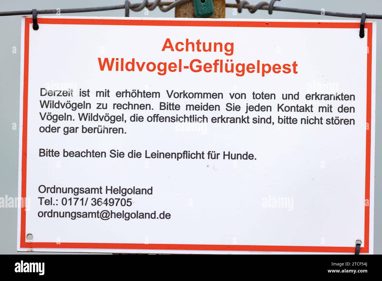 Helgoland, Deutschland 11. April 2023: Hinweisschild: Achtung Wildvogel ...