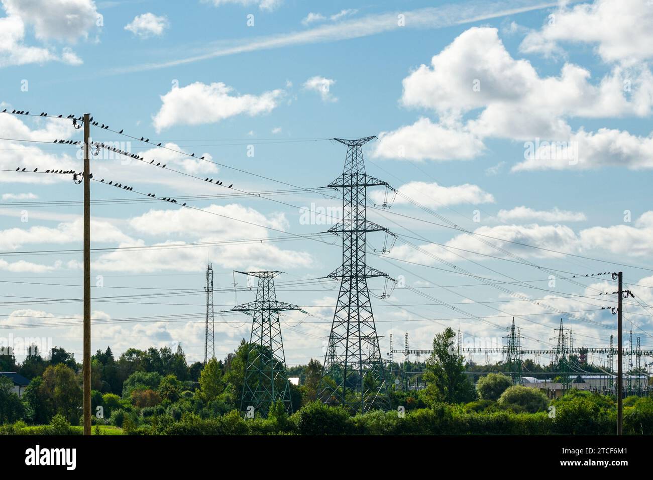 Industrial nature landscape with many high voltage power lines ...