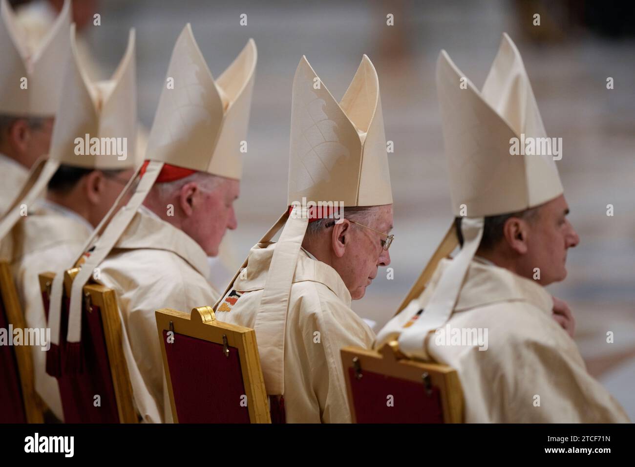 Cardinals attends a mass for the Virgin Mary of Guadalupe inside Saint ...