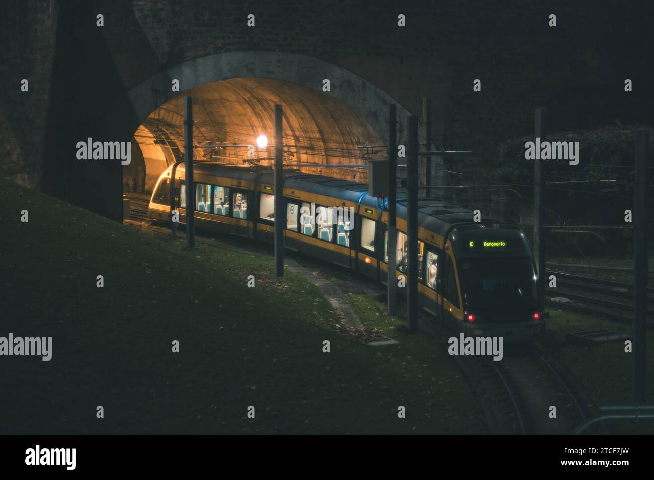 Metro birds hi-res stock photography and images - Alamy