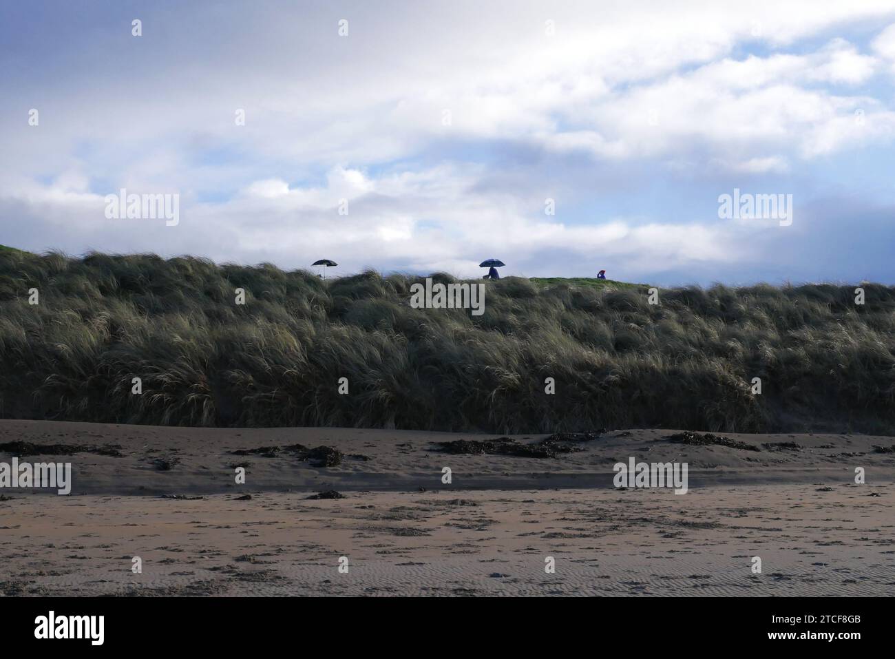 Coastal sandy views in Lahinch, Ireland Stock Photo - Alamy