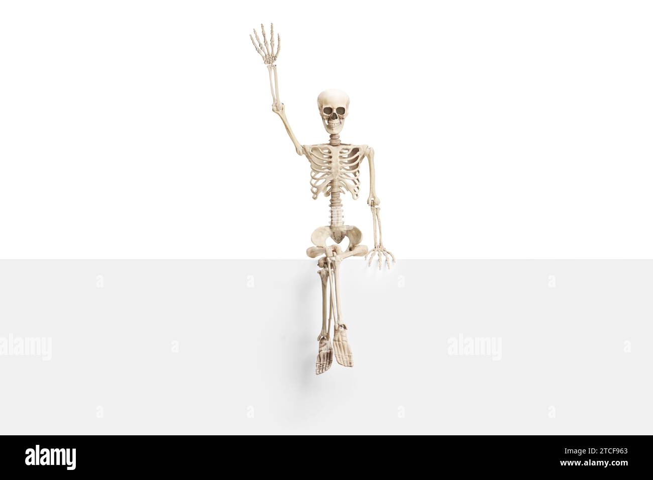 Human skeleton sitting on a blank panel and waving isolated on white ...