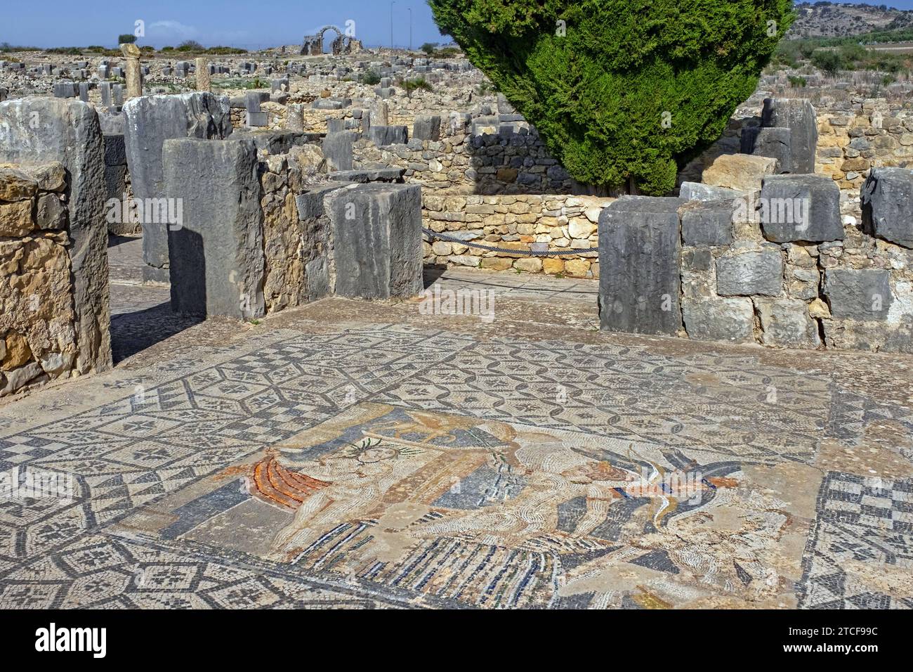 Diana goddess mosaic hi-res stock photography and images - Alamy