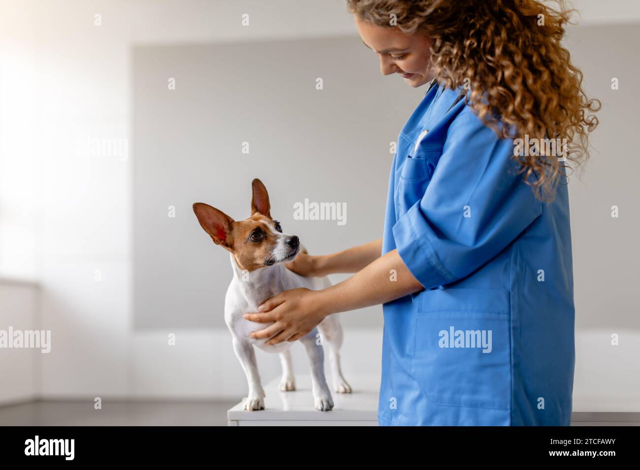 Happy dog gets gentle care hi-res stock photography and images - Alamy