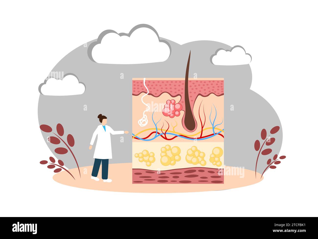 Dermatologist. Human skin. Cosmetology Stock Vector Image & Art - Alamy