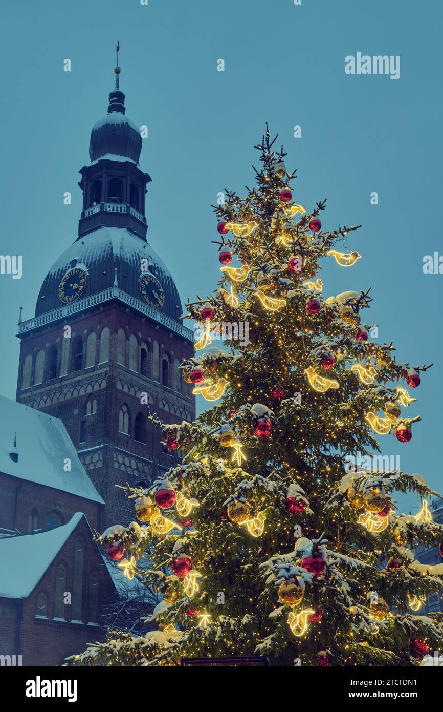 Decorated Christmas tree at the Dome Square in old Riga city, Riga ...
