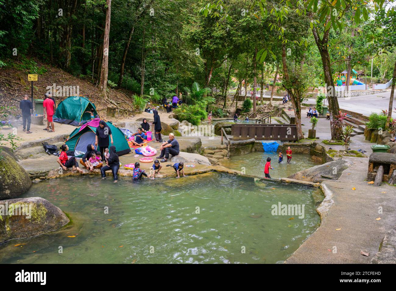 Teluk Bahang Forest Eco Park, Penang, Malaysia Stock Photo - Alamy