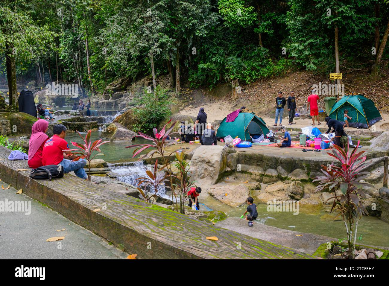 Teluk Bahang Forest Eco Park, Penang, Malaysia Stock Photo - Alamy